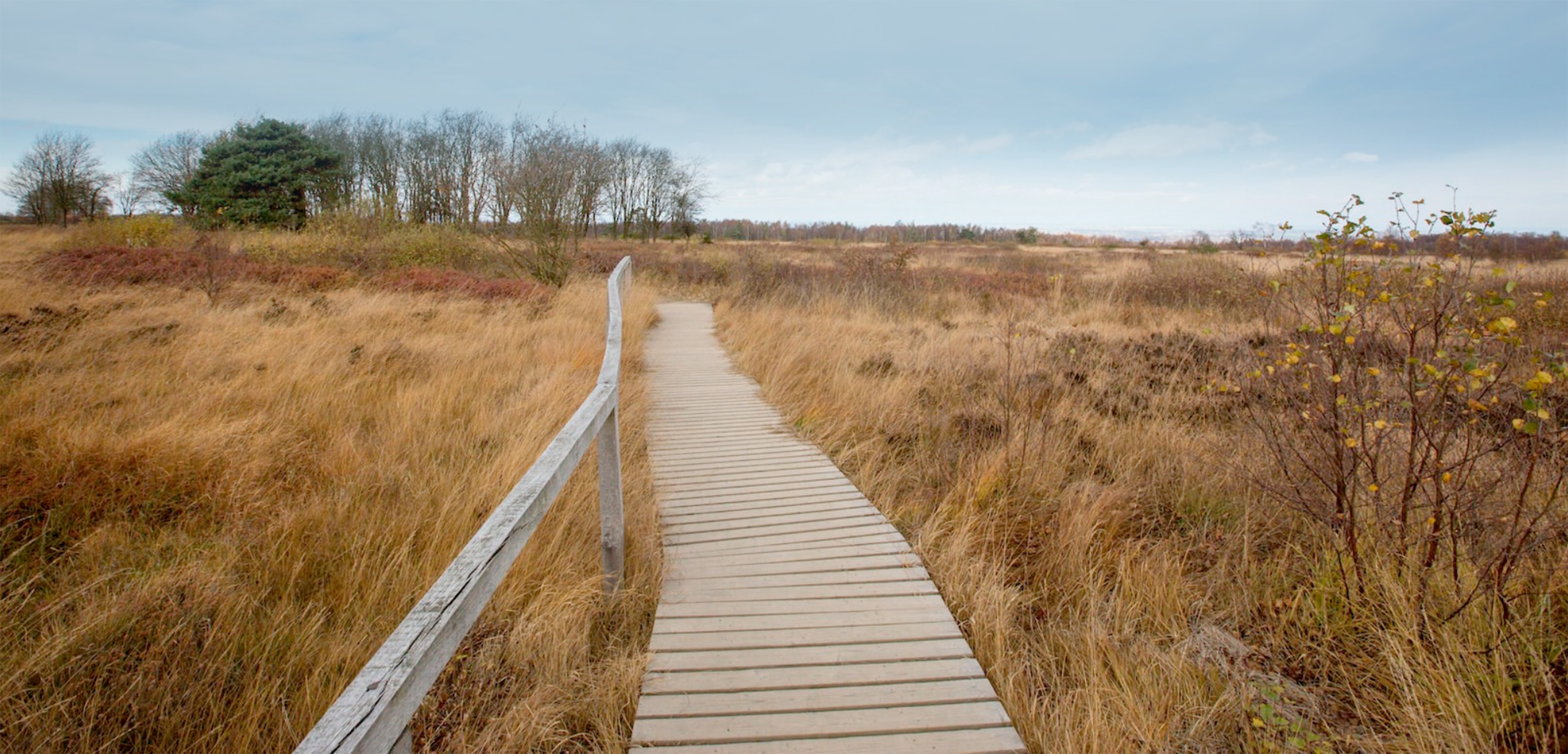 Puur – Spa.nl
